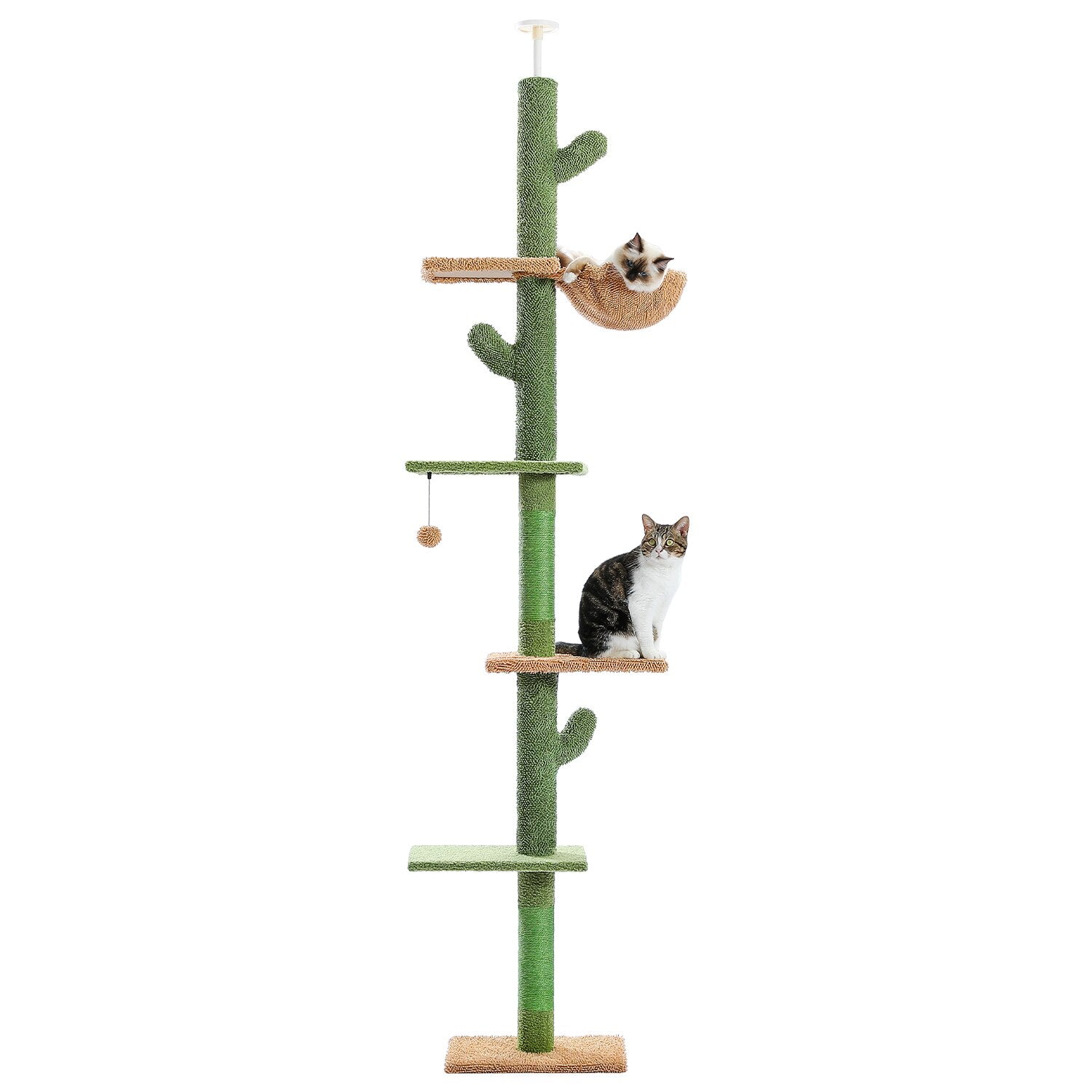 5 Layers Cactus Cat Tree | 5-Tier Floor to Ceiling Cat Tree | BaconPaw